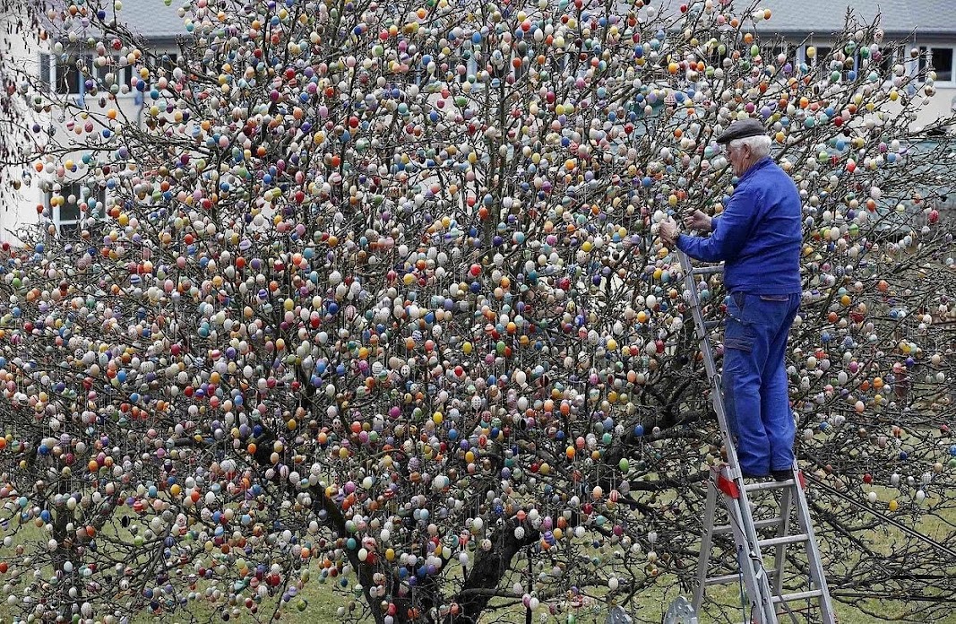 ##How To Decorate a beautiful German-inspired Easter Tree